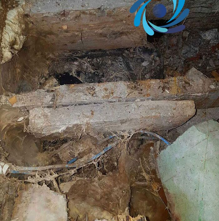 About Us | Allied Damp Solutions | Dublin