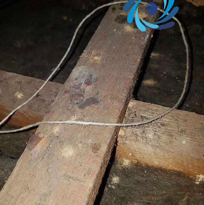 About Us | Allied Damp Solutions | Dublin